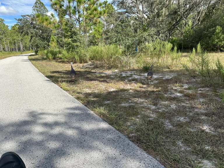 Starkey Park Trail - Road Cycle Routes and Map | Komoot
