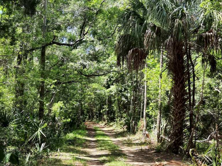 Seven-Mile Loop Trail — Crystal River Preserve State Park | Fahrradtour ...