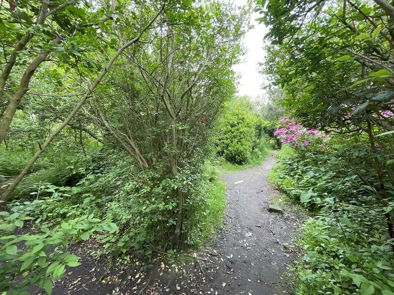 Quiet local park Routes for Walking and Hiking | Komoot