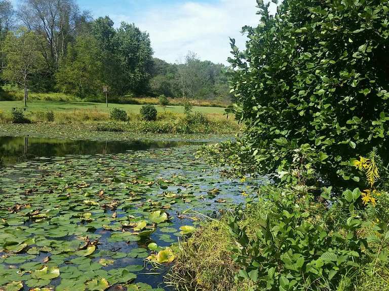 Rachel Carson Trail — 46 miles through nature and neighborhoods ...