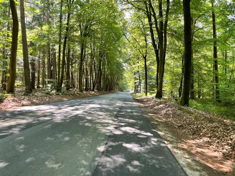 Viehler Berg Ascent - Road Cycle Routes and Map | Komoot