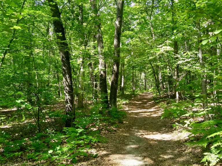Cascade Peace Park Trail — Cascade Peace Park | hike | Komoot