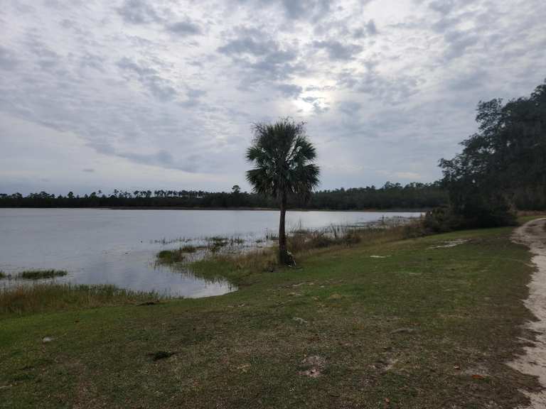 Buck Lake Schleife über Florida Trail — Ocala National Forest ...
