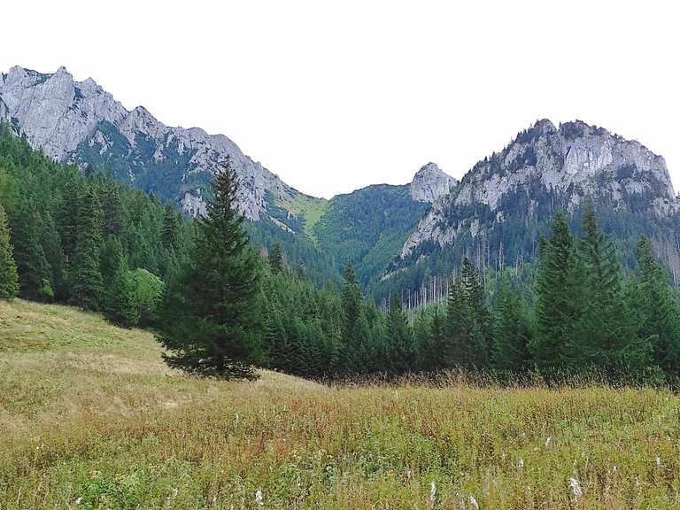 Kiry - Pisana Glade - Krakow Gorge - Ornak shelter - Smreczyński Staw ...