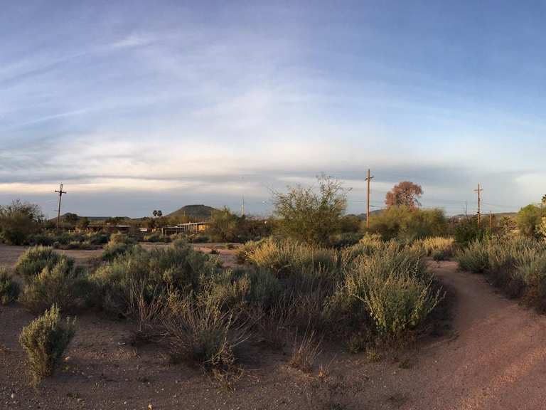 Saguaro National Park via The Loop and Gates Pass — loop from Tucson ...