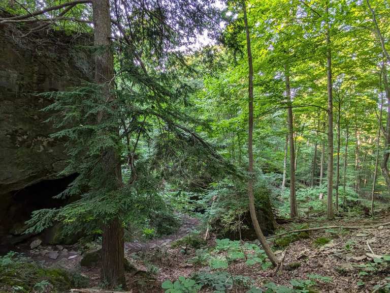 Terrace Path: Wanderungen und Rundwege | komoot