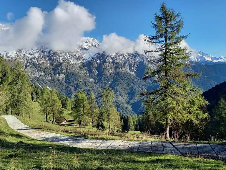 Sauris Almweiden-Wanderweg (über CAI 218) | Wanderung | Komoot