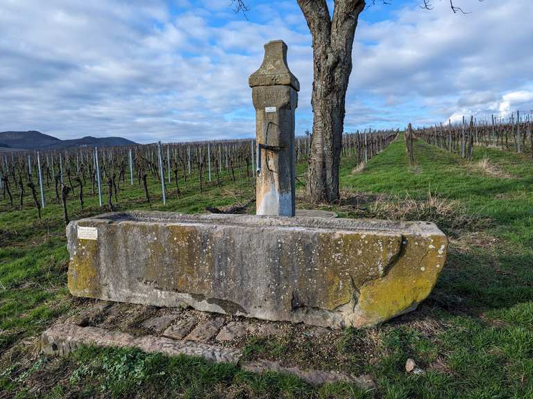 Moser's Fountain Routes for Walking and Hiking | Komoot