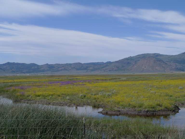 Sierra Valley Reservat: Rennradfahren und Rennradtouren | komoot