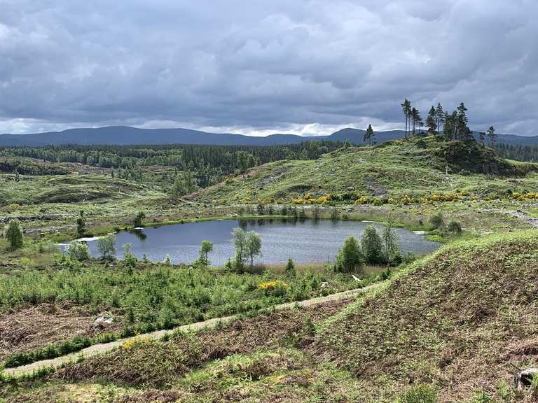 View of Loch Ness – Falls of Foyer loop from Inverfarigaig | hike | Komoot