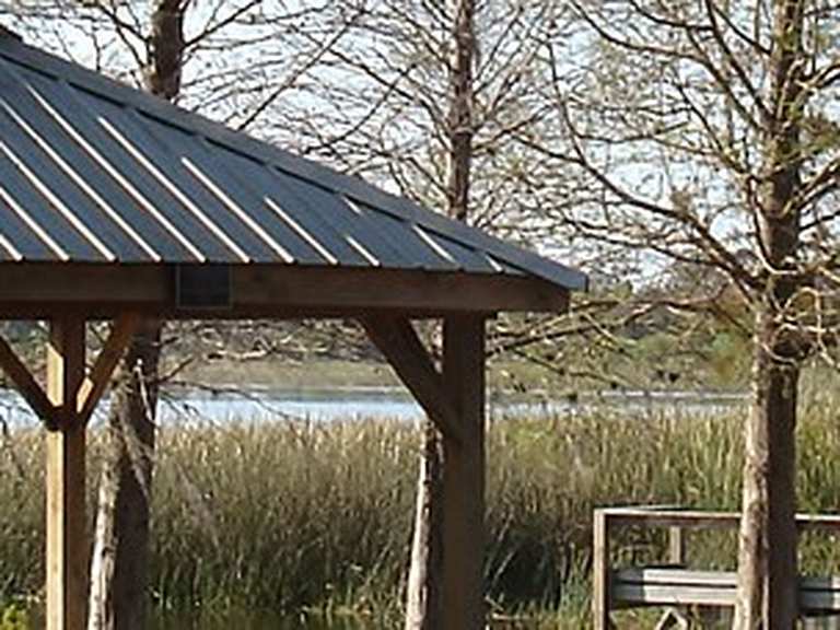 Longleaf Pine Trail loop & Lake Alfred Trail loop — Hidden Waters ...