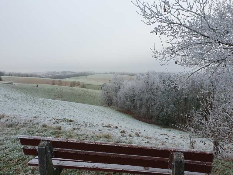 Blick vom Reichenberg: Wanderungen und Rundwege | komoot
