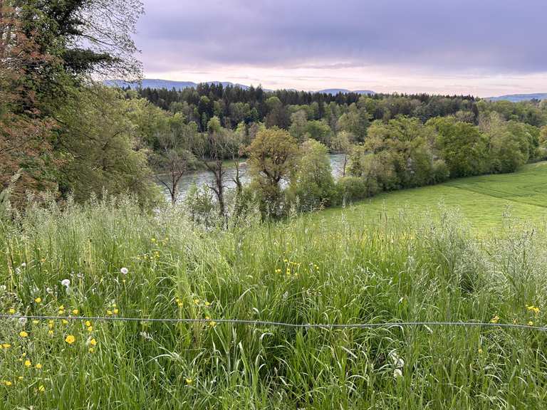 Traumhafter Blick auf die Aare Road Cycle Routes and Map | Komoot