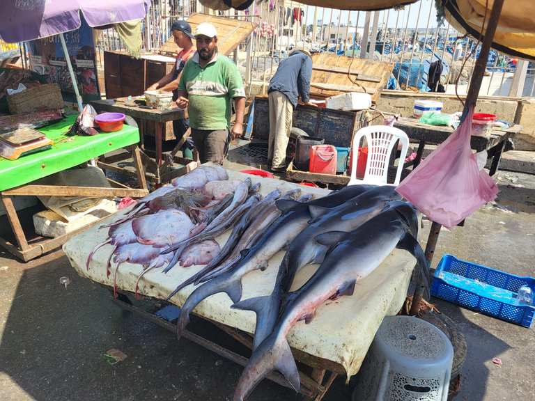 Port de pêche et marché aux poissons d'Essaouira - Itinéraires de rando ...