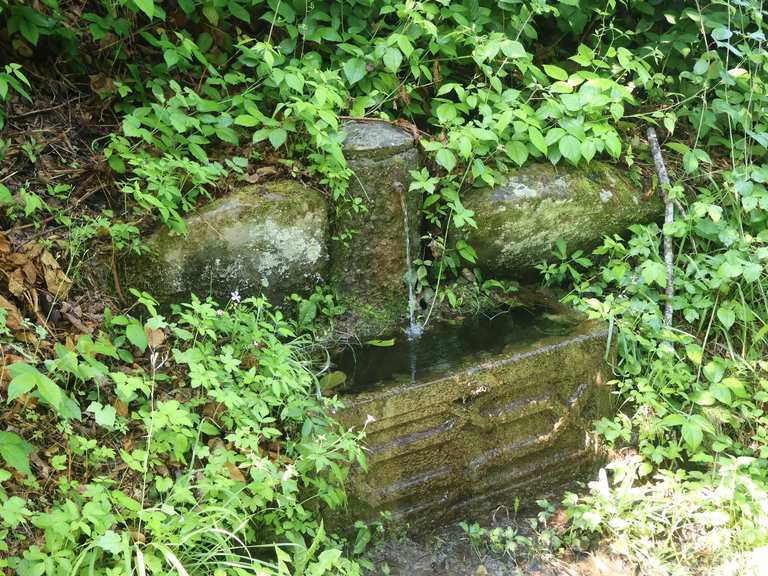 Savena-Tal-Wanderweg vom Castel dell'Alpi-See (über CAI 911 ...