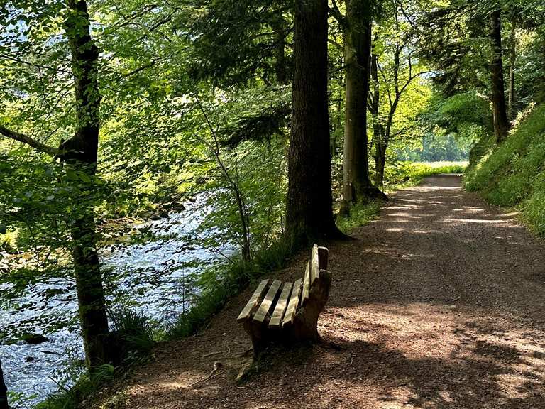 Ruhiger Waldweg am Fluss – Gutach - Blick auf die Elz Runde von ...