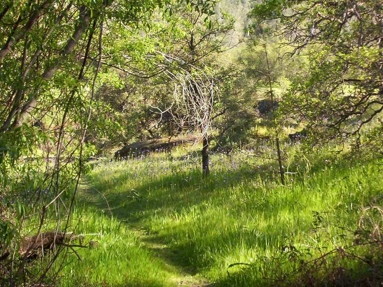 South Rim Trail — Upper Bidwell Park | Wanderung | Komoot