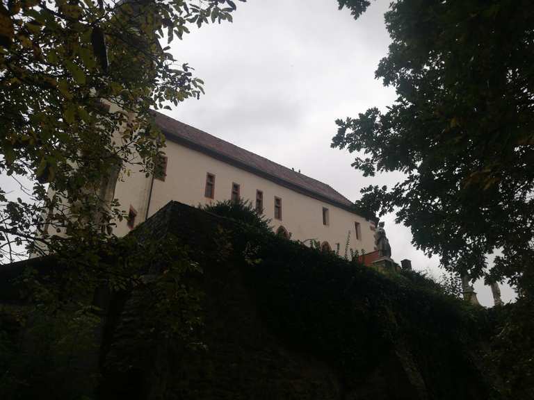 Tempelhaus Neckarelz: Wanderungen und Rundwege | komoot
