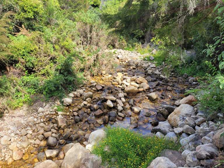 Tinline Bay: Wanderungen und Rundwege | komoot