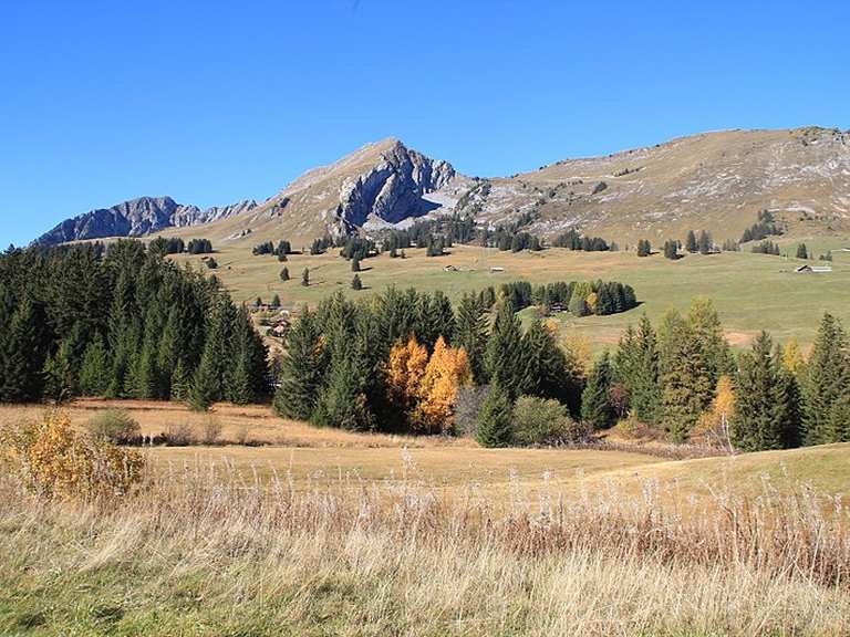 Van Col des Mosses naar Château-d'Œx - Parc Naturel Régional Gruyère ...
