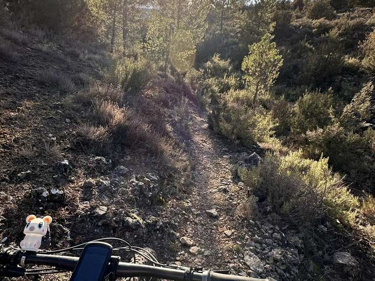 Sendero de la Laguna: Rutas MTB | Komoot