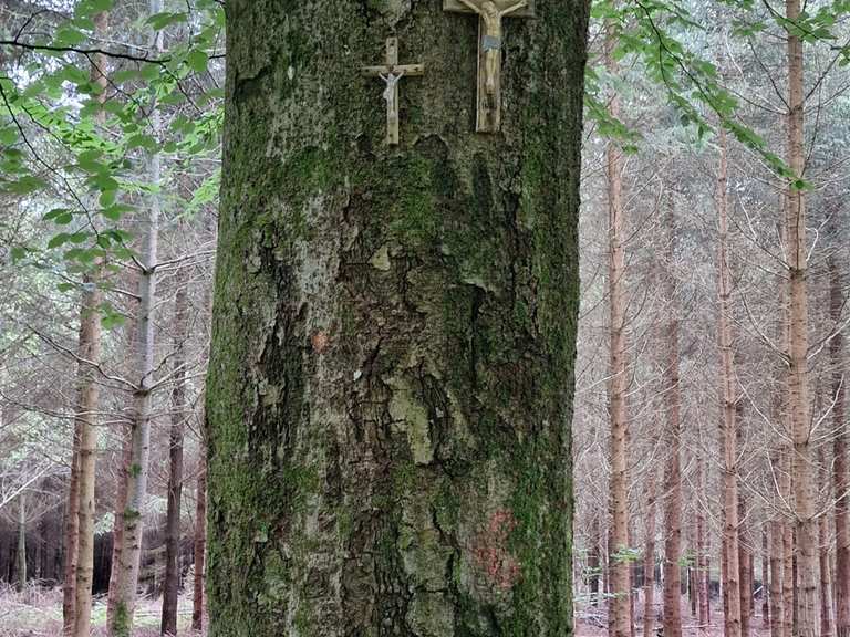 Gonay Cross Routes for Walking and Hiking | Komoot