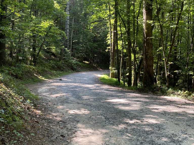 Anello Benton MacKaye Trail, Duncan Ridge Trail e Tooni Gap Road ...
