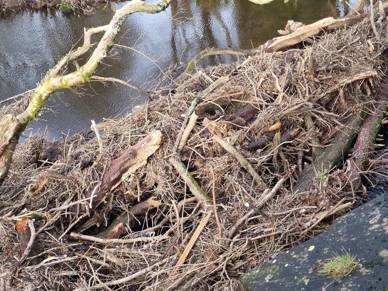 River Derwent Heritage Trail - Hathersage section: Wanderungen und ...