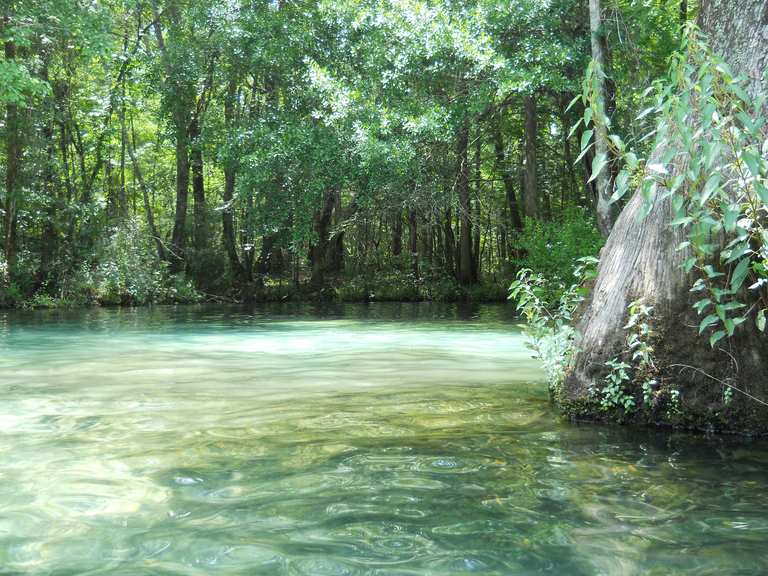 Ponce de Leon Springs – Hikes & How to Get There | Komoot