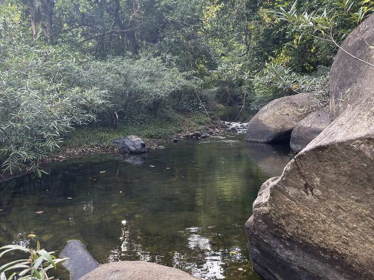 Punto balneare di Bang Hua Rat, Parco Nazionale di Khao Sok : percorsi ...