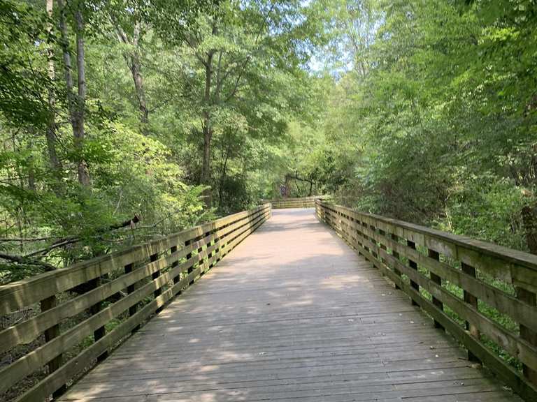 Big Creek Greenway a través de Rock Mill Park bucle desde Matt ...