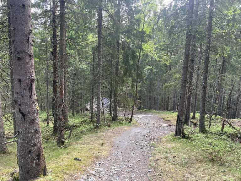 Eastside (built-up flow trail) Mountain Bike Trails & Tracks | Komoot