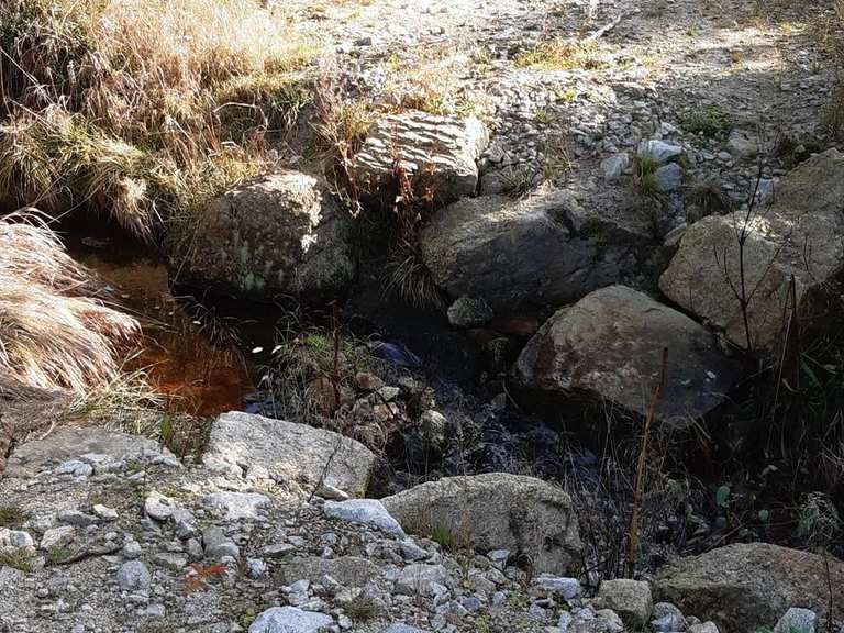 Vallée de la Fichtelnaab - Itinéraires vélo et carte | Komoot