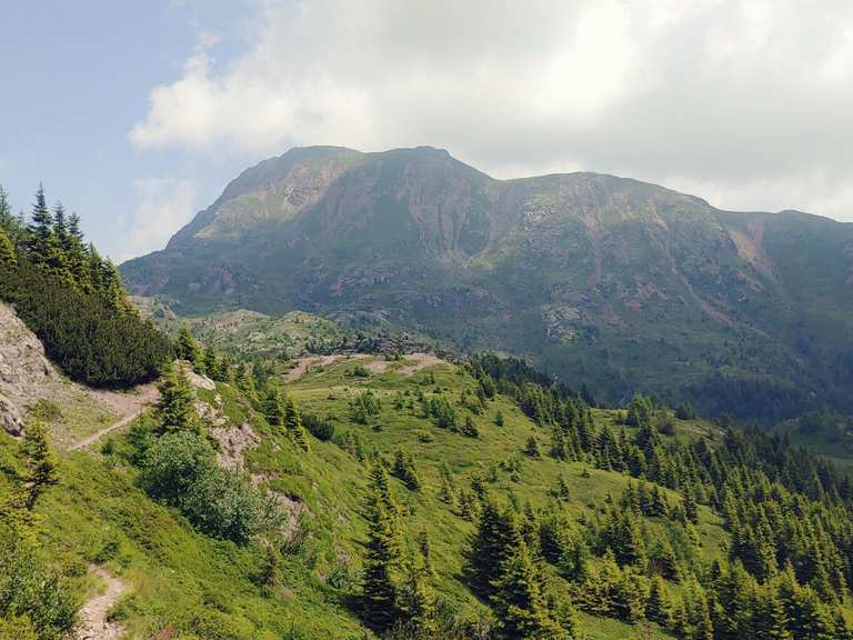 Vista del Monte Luco: Rutas de senderismo y caminatas | Komoot