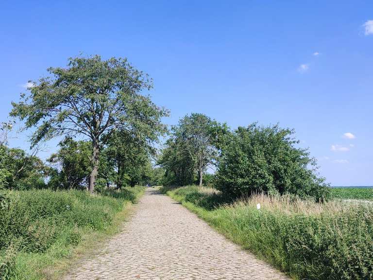 Paris-Roubaix reloaded in the middle of the Börde Cycle Routes and Map ...
