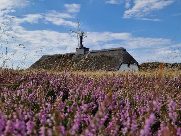 Schöne Dünen / Heide Landschaft : Radtouren und Radwege | komoot