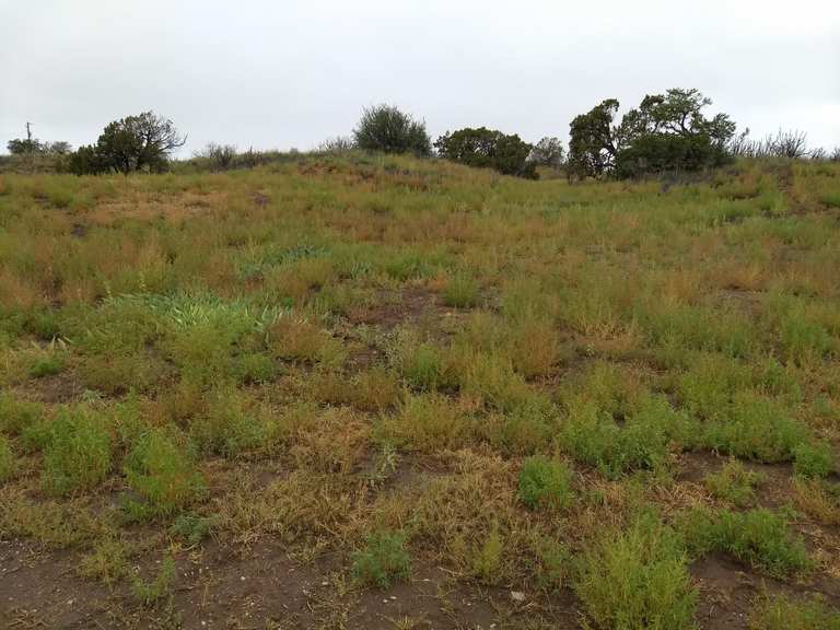 Spanish Corral Trail - Routes for Walking and Hiking | Komoot