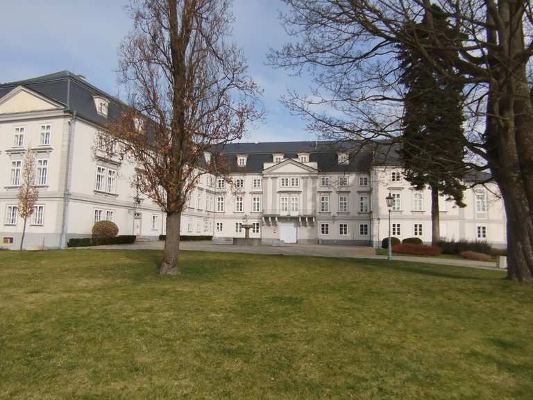 Schloss Tachau: Wanderungen und Rundwege | komoot