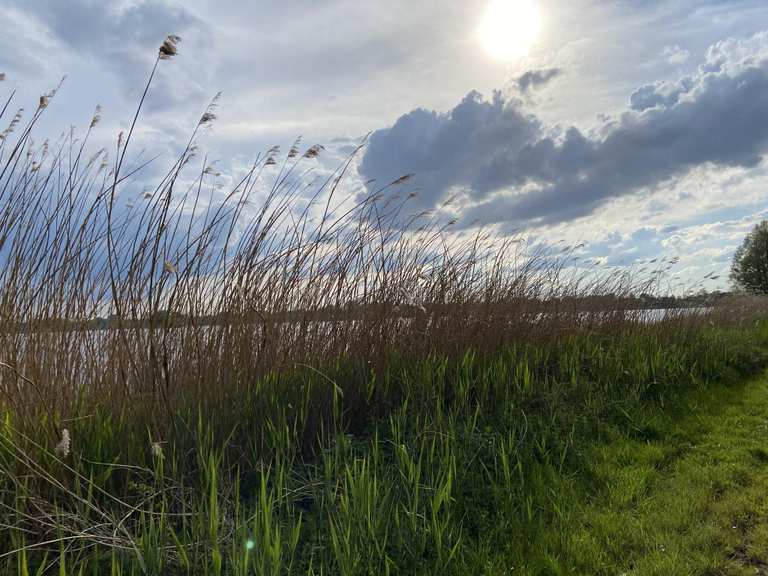 Reeuwijckse plassen uitzicht – Uitzicht over het meer rondtocht vanuit ...