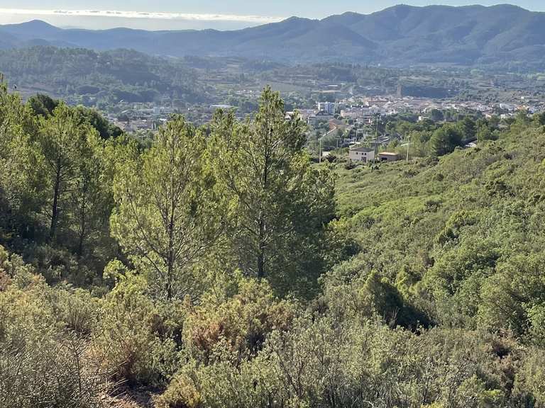 Lovely little singletrack trail (not shown on the map) - Routes for ...