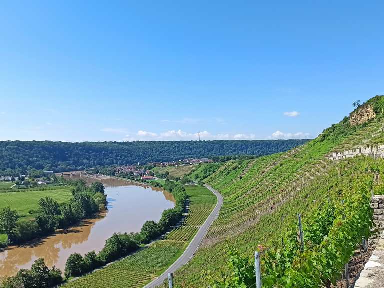3B-Land – Mundelsheim: Käsberg loop | hike | Komoot