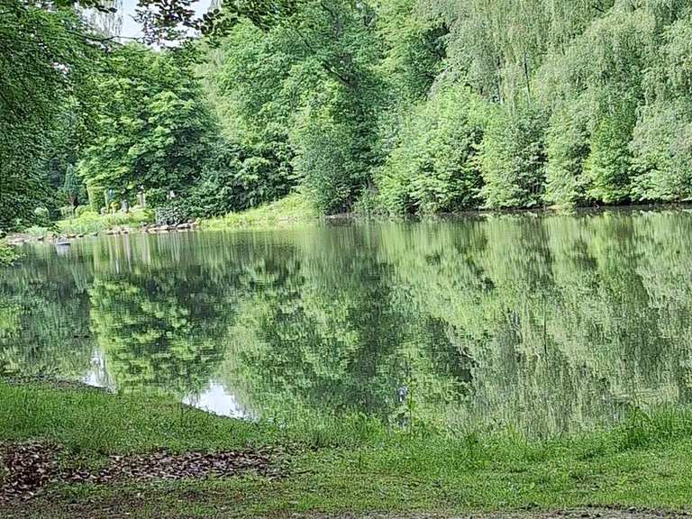 Elisabethsee: Wanderungen und Rundwege | komoot