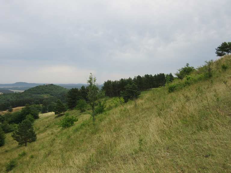 View from the Ziegenberg ridge Routes for Walking and Hiking | Komoot