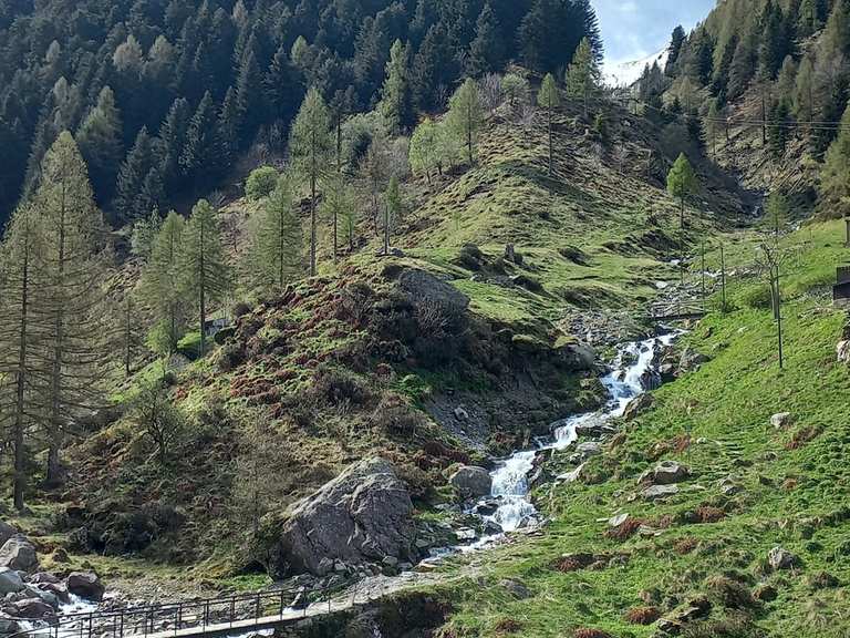 Sentiero Valle dei Forni al Rifugio Santa Rita (via Percorso 620E ...