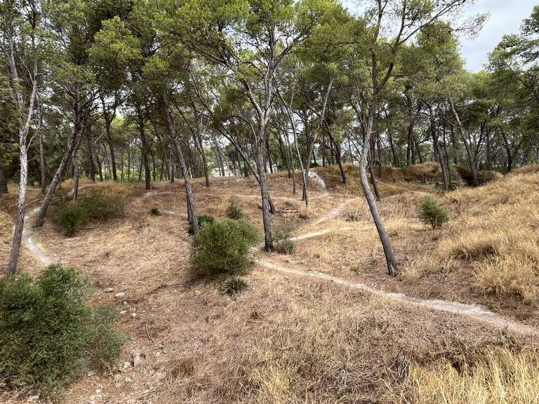 Estella-Trails - Mountain Bike Trails & Tracks | Komoot