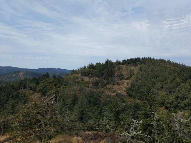 Blick auf den Mount Finlayson: Wanderungen und Rundwege | komoot