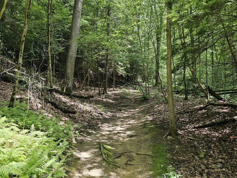 Salt Run Trail: Wanderungen und Rundwege | komoot