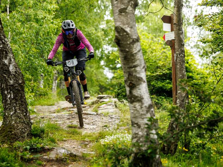 Day 2 | Segment 2 (of 3) | mountain bike activity | Komoot