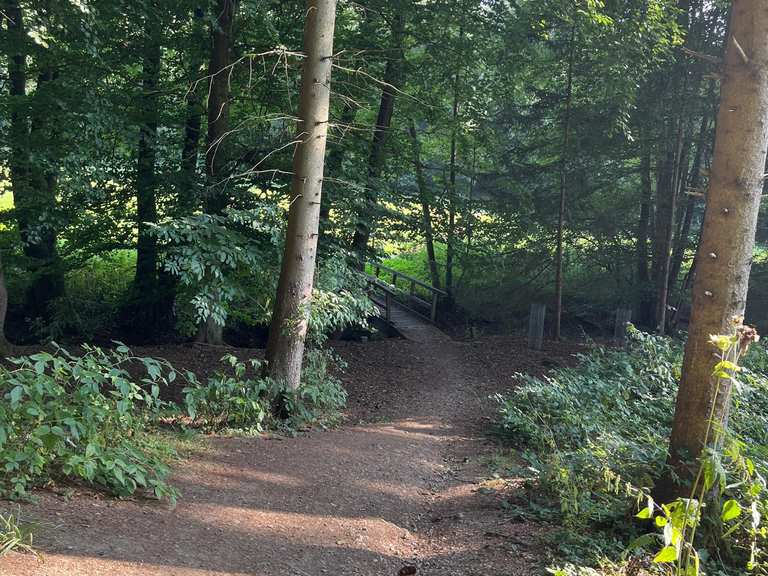 Wooden Bridge and Forest Trail - Mountain Bike Trails & Tracks | Komoot