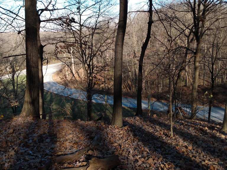 Cranberry Slough Nature Preserve & Palos Forest Preserves loop — Cook ...